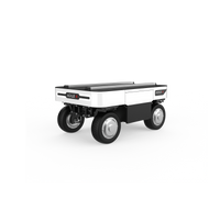 RANGER MINI