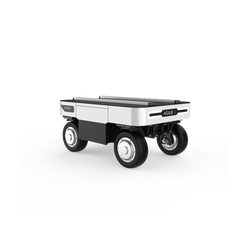 RANGER MINI